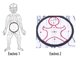 ABDOMINAL ACUPUNCTURE – Itme Seminars